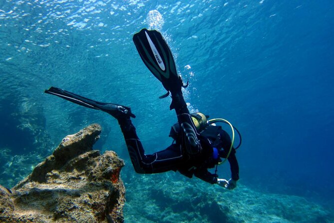 Scuba Diving in Antalya from Antalya & Kemer - The Real-World Feedback: Authentic Perspectives