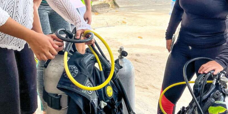 Scuba Diving in Boracay: SSI Basic Diver for Beginners - Who Should Consider This Tour?