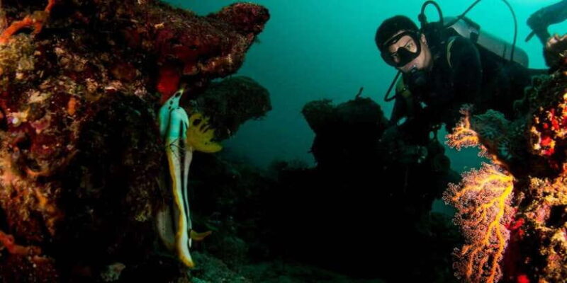 Scuba Diving in Boracay: SSI Basic Diver for Beginners - Final Thoughts