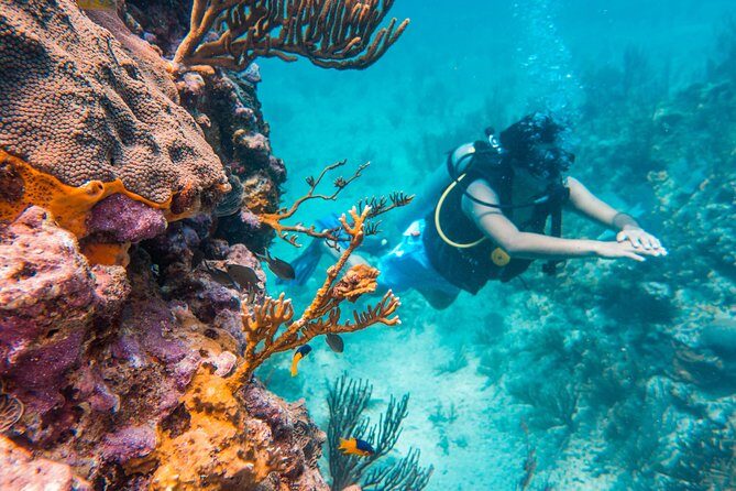 Scuba Diving in Cozumel Island - Key Points