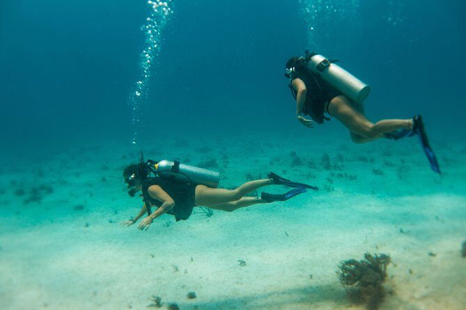 Scuba Diving in Cozumel Island - Who Should Consider This Tour?