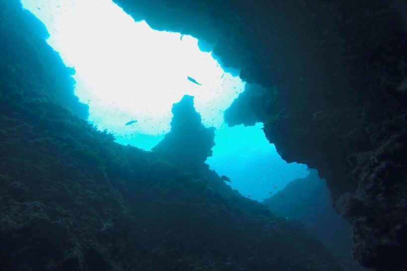 Scuba Diving in Dubrovnik: 1 Dive for Certified Divers - Exploring the Sites and What You Can Expect