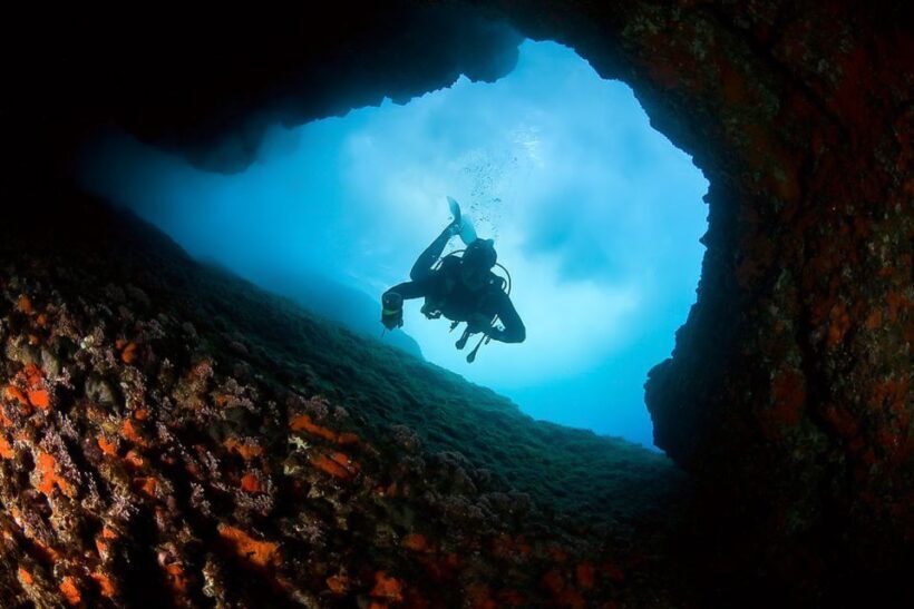 Scuba Diving in Dubrovnik: 1 Dive for Certified Divers - Practical Details & Tips