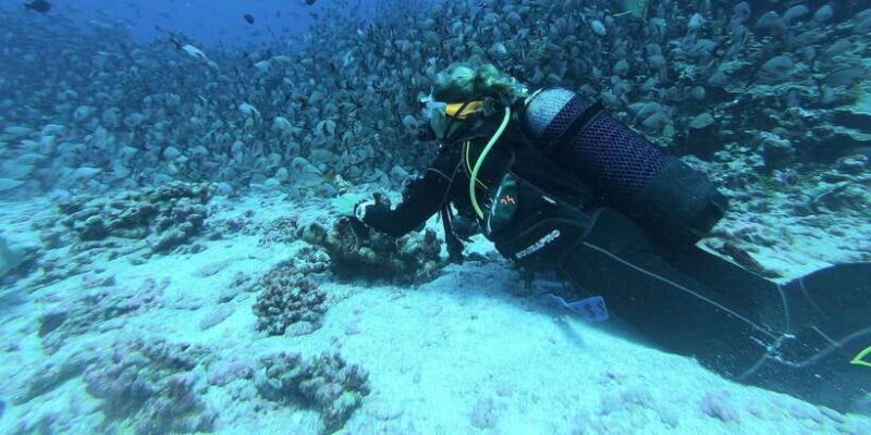 Scuba Diving in Hikkaduwa - Detailed Breakdown of the Tour Experience