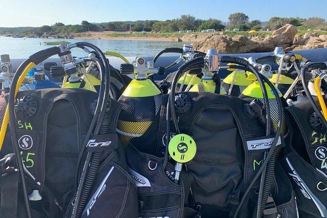 Scuba Diving in La Maddalena & Lavezzi Park for Certified Divers. - Cancellation Policy and Reviews