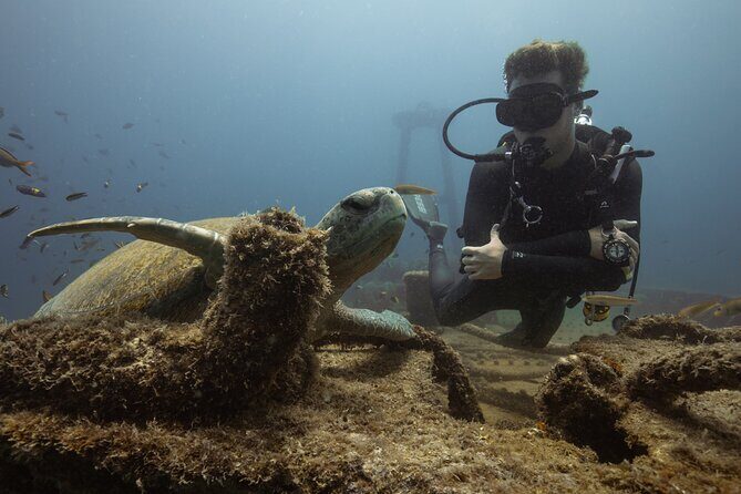 Scuba Diving in La Paz Private Tour - Authenticity and Experience