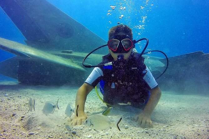 Scuba Diving in MIG-21 wreck - Analyzing the Price and Value