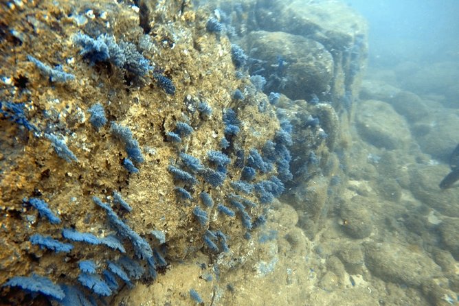 Scuba Diving in Mirissa - Frequently Asked Questions