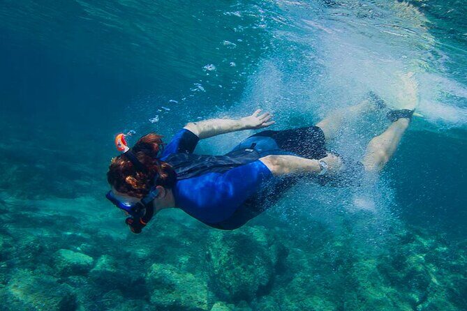 Scuba Diving in Mount Lavinia - Key Points
