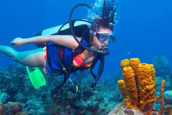 Scuba Diving in Mount Lavinia - An Honest Look at the Mount Lavinia Scuba Tour