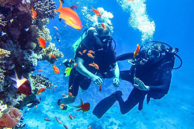 Scuba Diving in Mount Lavinia - Who Will Love This Experience?