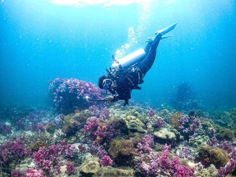 Scuba Diving in Phuket  4-Day 3-Night Experience - Key Points