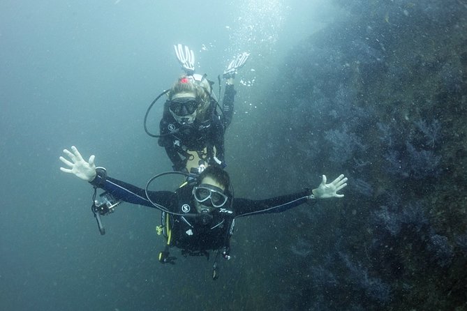 Scuba Diving in Phuket  Full-Day Trip (3 Dives, All Included) - How Much Is It Worth?