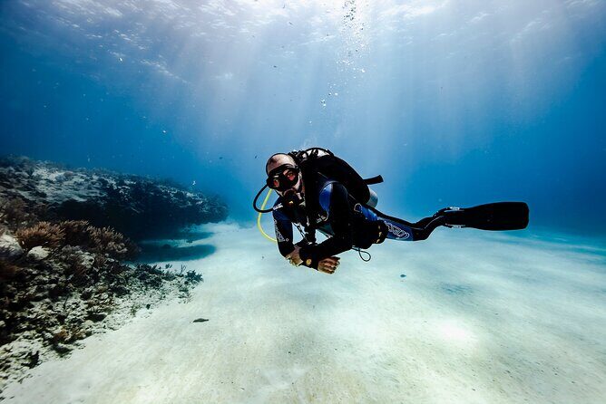 Scuba Diving in Playa del Carmen for Small Groups - What You Can Expect from the Tour