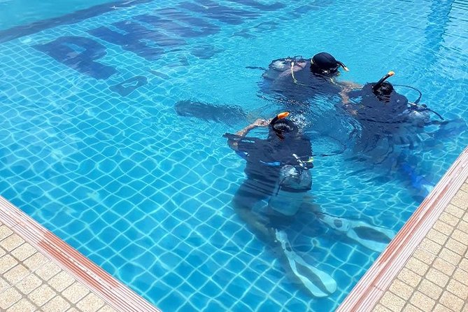 Scuba diving lesson for beginners (1 hour ) - The Experience in Context