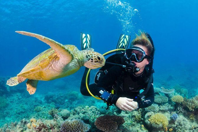 Scuba Diving on Catalina Island | 2 tanks, 2 spots - Introduction