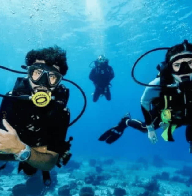 Scuba Diving Playa del Carmen: PADI Open Water Certification - Why Consider a PADI Certification in Playa del Carmen?