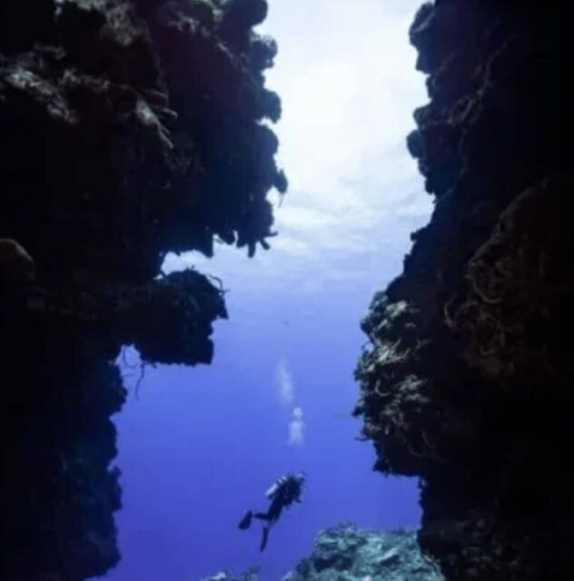 Scuba Diving Playa del Carmen: PADI Open Water Certification - Authentic Experiences & Real-World Insights