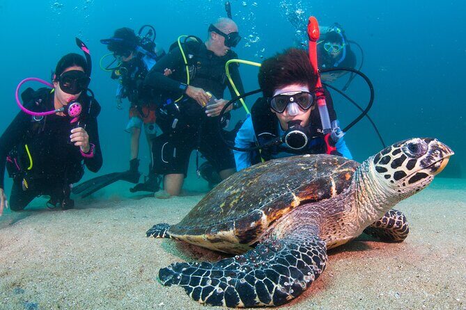 Scuba Diving Puerto Vallarta Undersea Arcos or Marietas - What’s Included & What’s Not