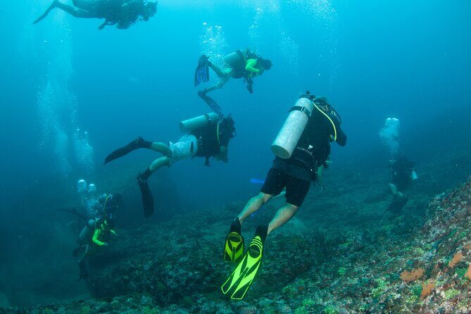 Scuba Diving Puerto Vallarta Undersea Arcos or Marietas - Why This Tour Offers Value