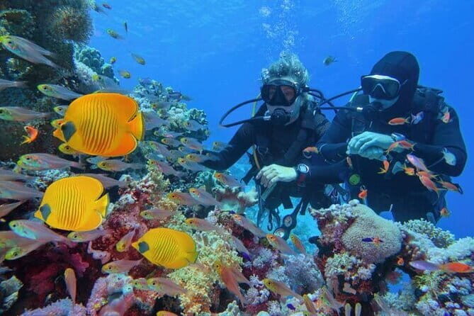 Scuba Diving Refresher(3 dives) - FAQs
