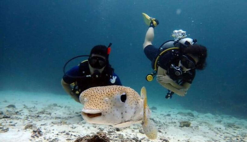 Scuba Diving Refresher(3 dives) - Deep Dive Into the Itinerary