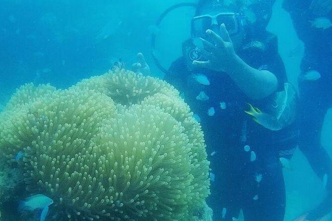 Scuba Diving (shore Dive) at Havelock Islands - What Makes This Shore Dive a Great Choice?