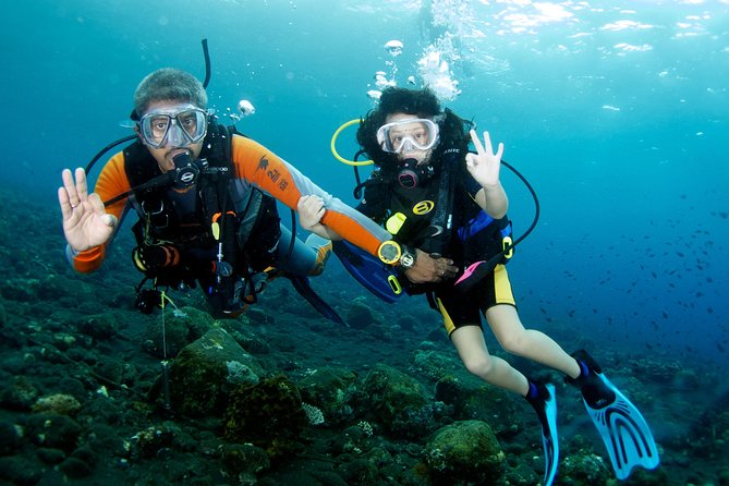 Scuba Diving Tour From Alanya - Side - Antalya - Key Points