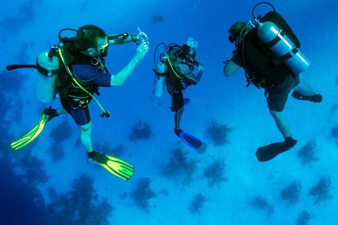 Scuba Diving Tour From Kusadasi / Selcuk - The Practical Details