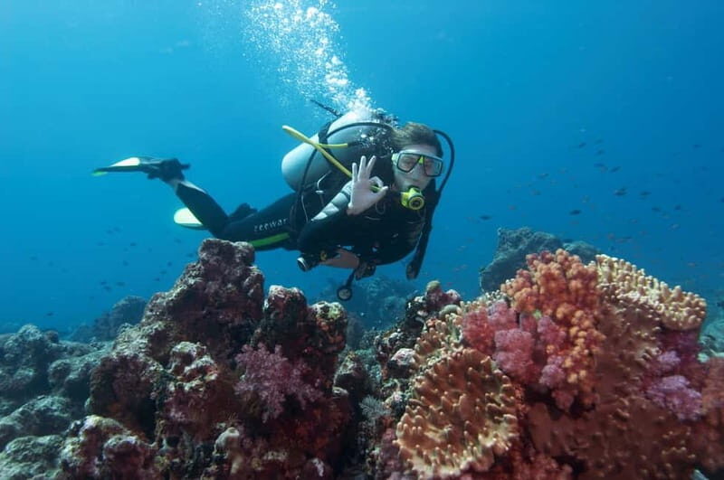 Scuba Diving Tour from Marmaris and Icmeler - Key Points