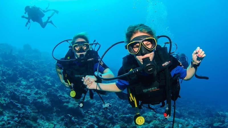 Scuba Diving Tour from Marmaris and Icmeler - Group Size and Atmosphere
