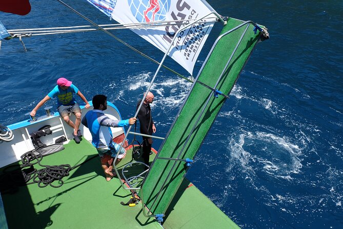 Scuba Diving Tour in Antalya with Lunch and Transfer - Authentic Experience and Practical Details