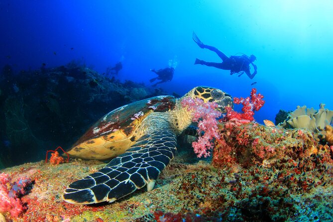 Scuba Diving Tour in Antalya with Lunch and Transfer - Practical Tips for Travelers
