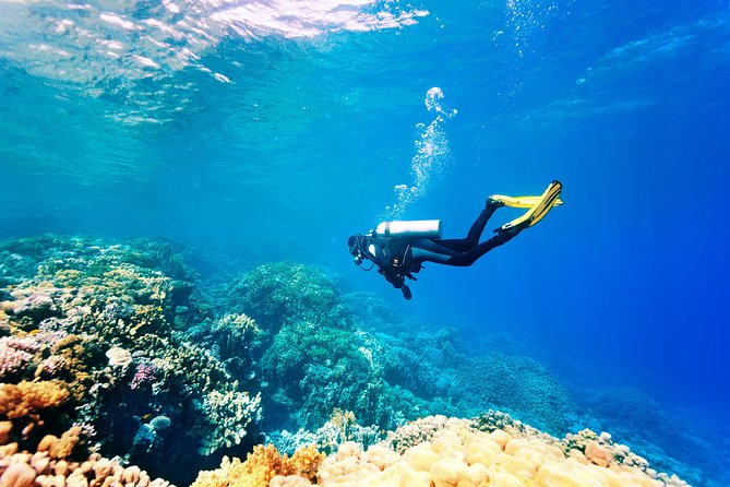 Scuba Diving Tour in Bodrum - Scuba Diving Experiences for All Levels