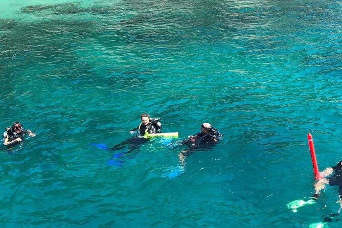 Scuba Diving Tour in Cham Island for certified divers or Beginners - The Logistics and How It Enhances Your Experience