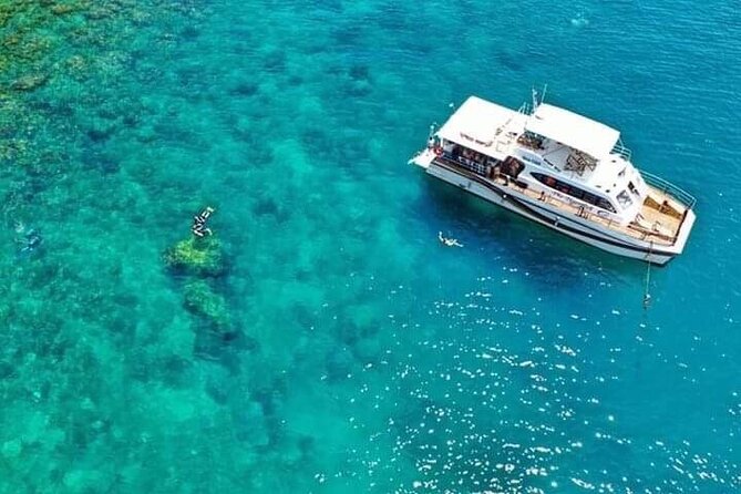 Scuba Diving Tour in Cham Island for certified divers or Beginners - The Sum Up: Is This Tour Right for You?