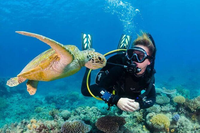 Scuba Diving Tour in Kemer with Lunch and Transfer - Introduction: A Solid Choice for Underwater Enthusiasts in Kemer