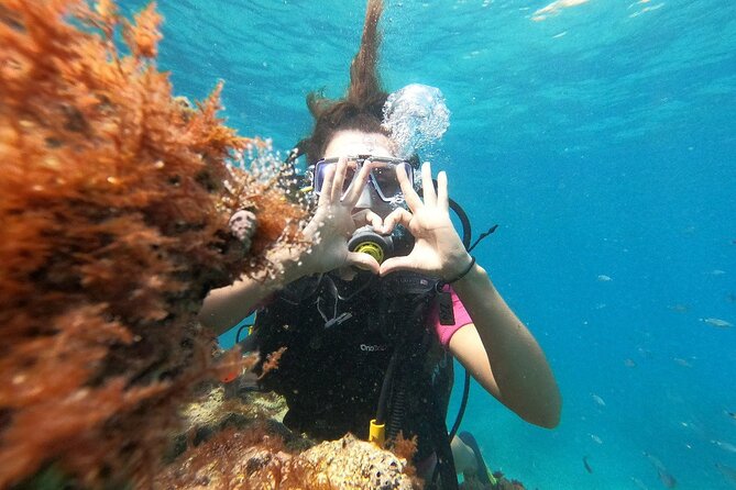 Scuba Diving Tour With Lunch in Alanya - Frequently Asked Questions