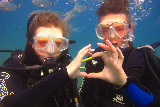 Scuba Diving Under Water Museum - What To Expect from the Underwater Museum Tour