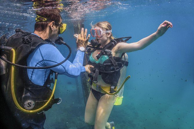 Scuba Diving with a 5-Star PADI Center in Puerto Vallarta - An Honest Look at the Puerto Vallarta Underwater Adventure