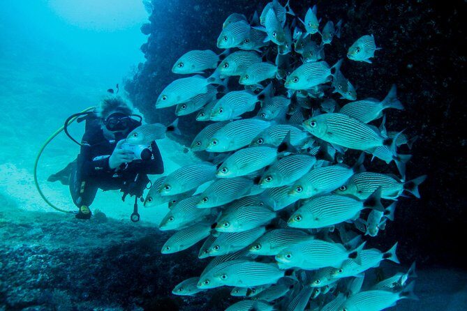 Scuba Diving with a 5-Star PADI Center in Puerto Vallarta - FAQ