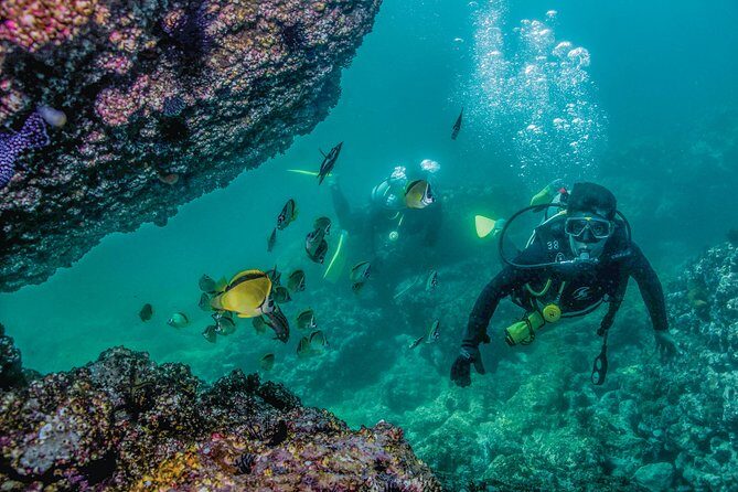 Scuba Diving with a 5-Star PADI Center in Puerto Vallarta - Final Thoughts