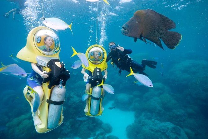 Scuba Doo Diving Experience in Punta Cana - Who Will Love This Tour?