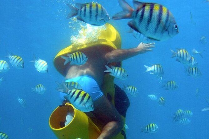 Scuba Doo Diving Scooters in Punta Cana - Key Points