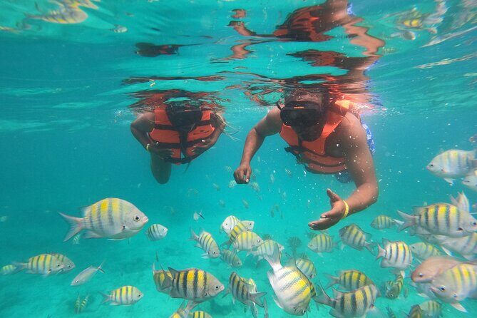 Scuba Doo in Punta Cana with Snorkelling Equipment - Why This Tour Is Worth Considering