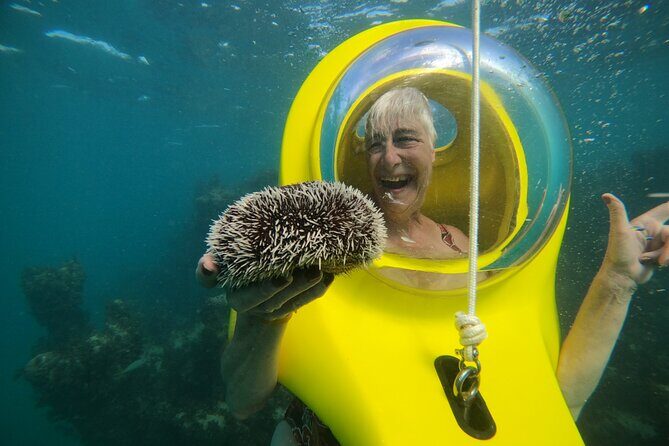 Scuba Doo in Punta Cana with Snorkelling Equipment - Who Should Book This Tour?