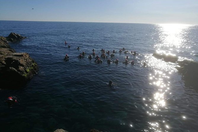 Scuba Experience - Scuba Diving Gear and Equipment