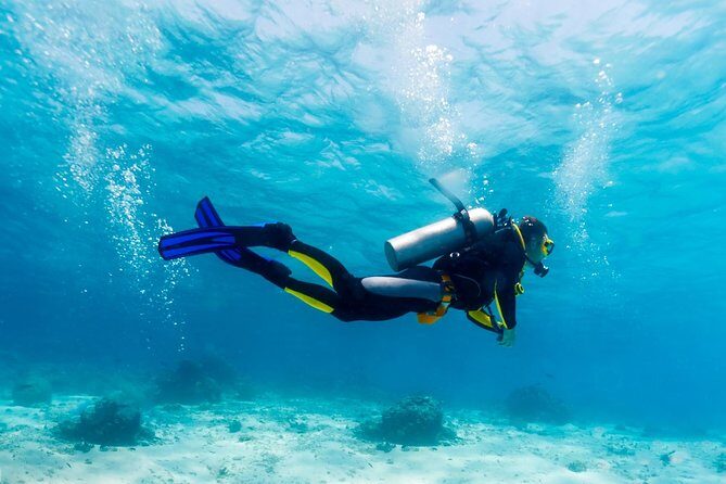 Scuba Referral Dives & Beach Club with Transportation In Riviera Maya - What You Can Expect from Your Riviera Maya Referral Dives Experience