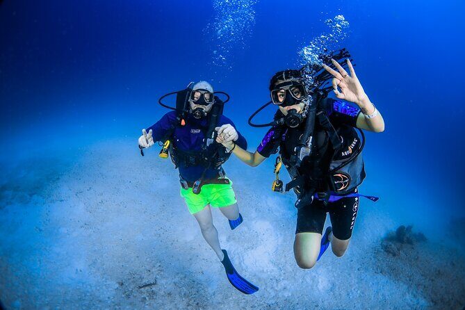 Scuba Referral Dives & Beach Club with Transportation In Riviera Maya - Is This Tour Right for You?