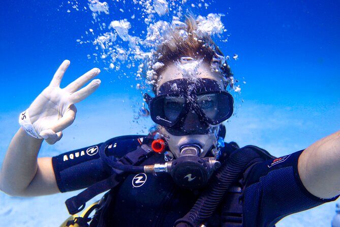 Scuba Referral Dives & Beach Club with Transportation In Riviera Maya - FAQ